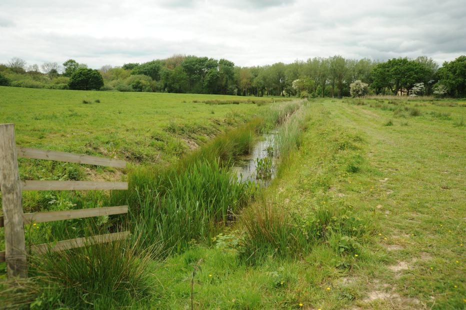 The future of the natural environment after the EU Referendum | Rye ...