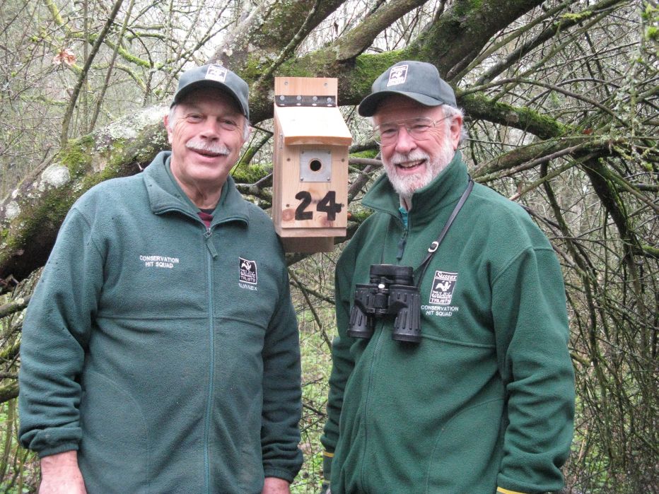 Never volunteer? Think again | Rye Harbour Nature Reserve