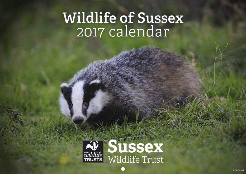 Stunning Wildlife Calendar | Rye Harbour Nature Reserve