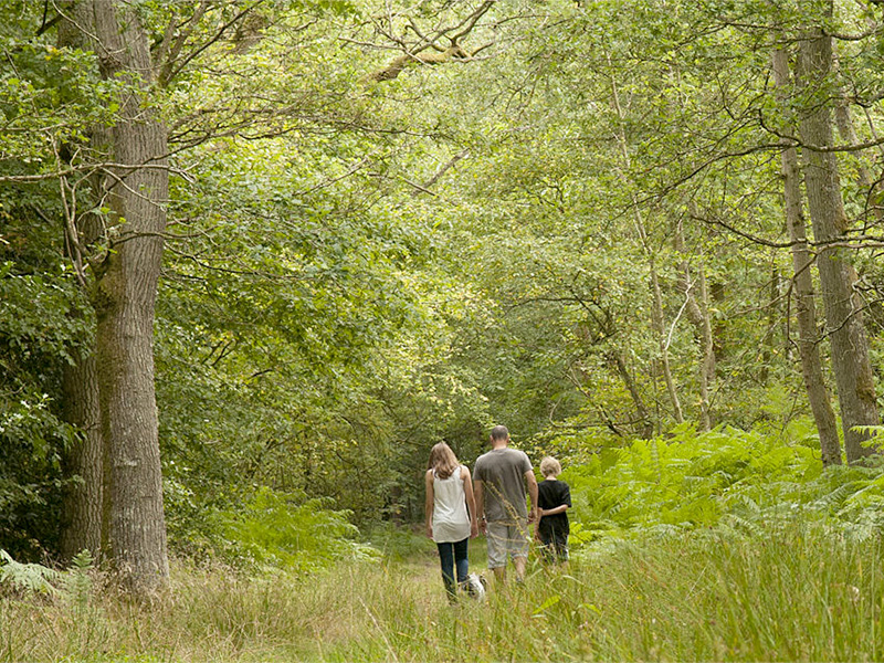 Pledge for the Environment | Rye Harbour Nature Reserve