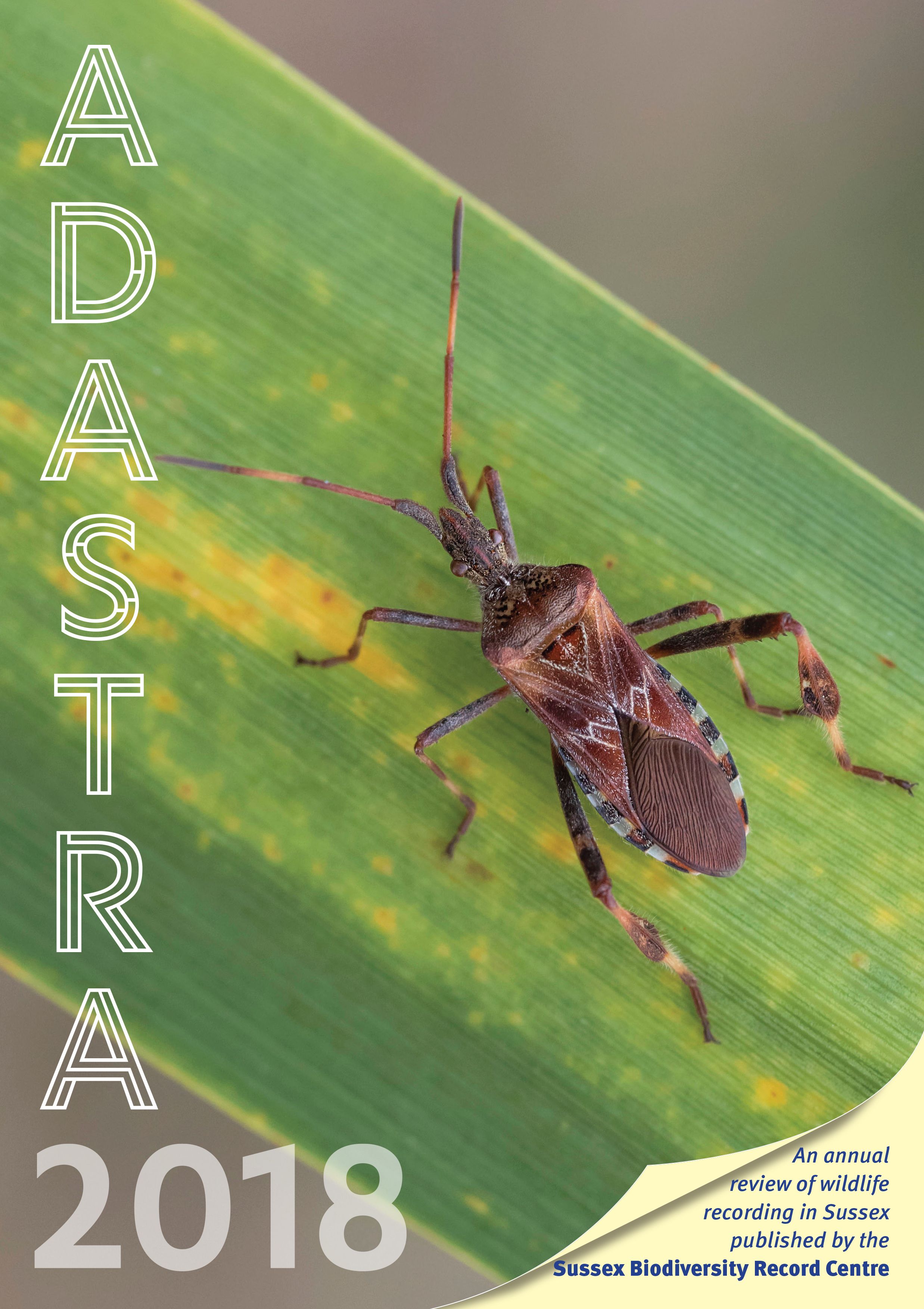 Sussex Biological Recorders' Seminar 2019 | Rye Harbour Nature Reserve