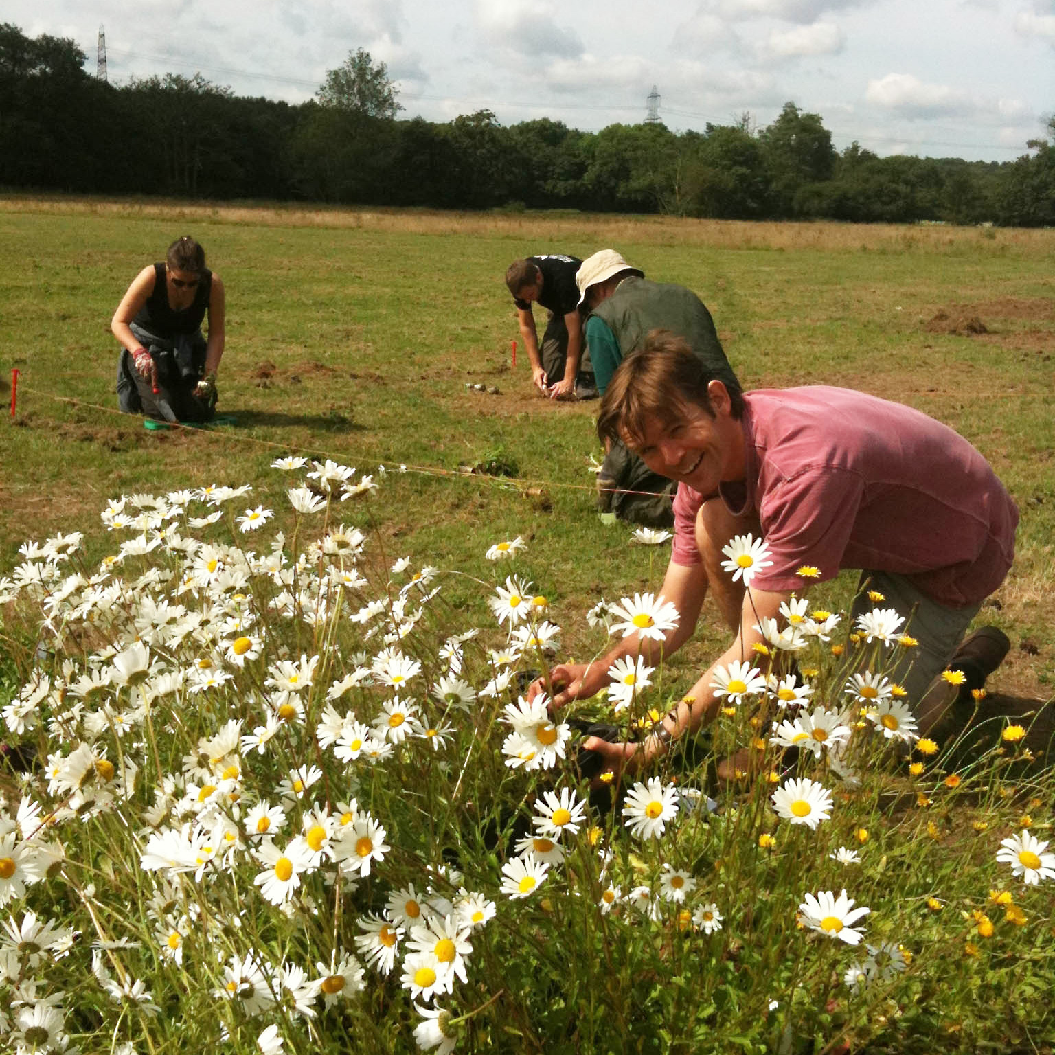Community competition for climate change resilience | Rye Harbour ...