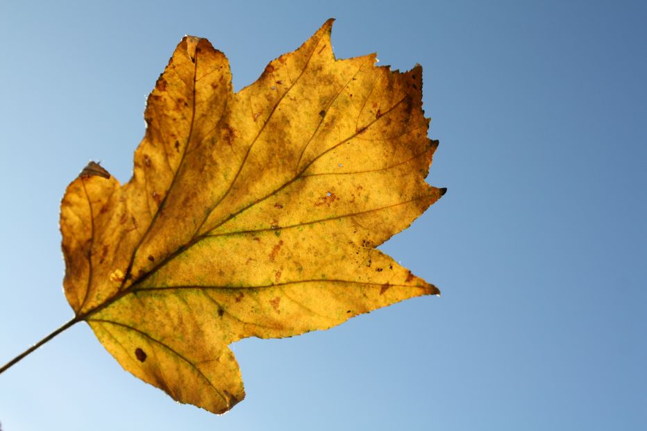 A breath of fresh air | Rye Harbour Nature Reserve