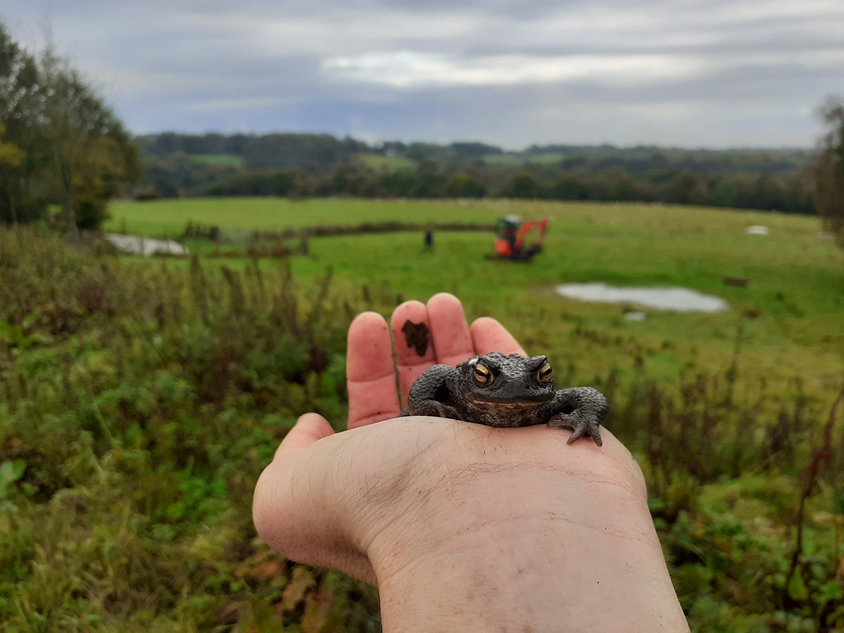 Creating Climate Capacity | Rye Harbour Nature Reserve