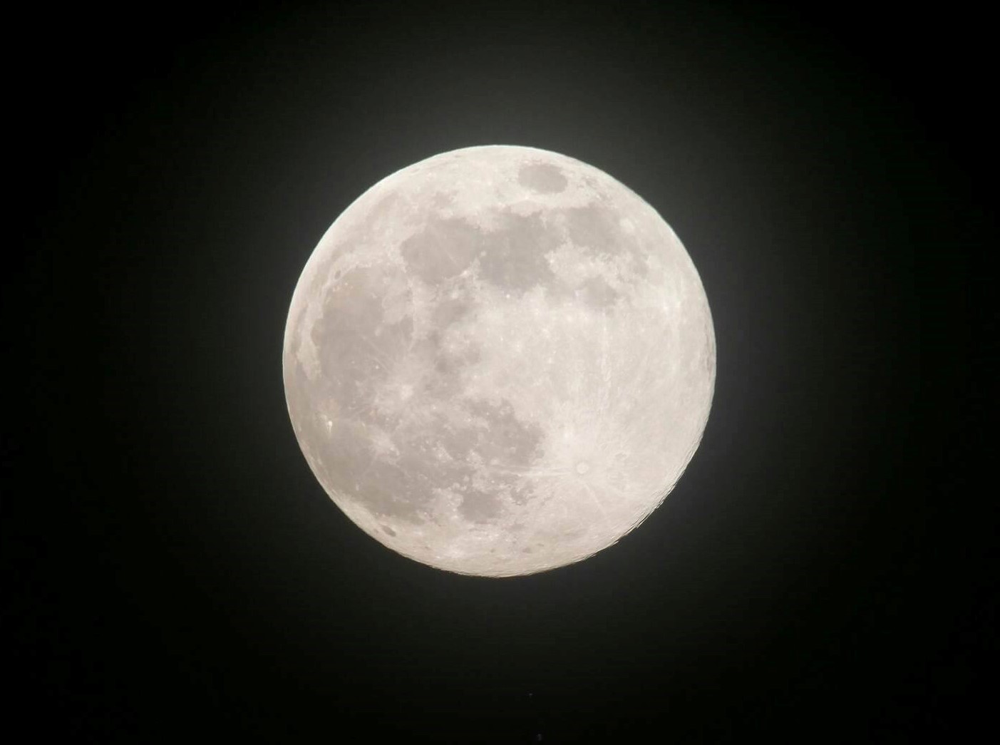 Corona Wildlife Diary: Day Twenty-two | Sussex Wildlife Trust