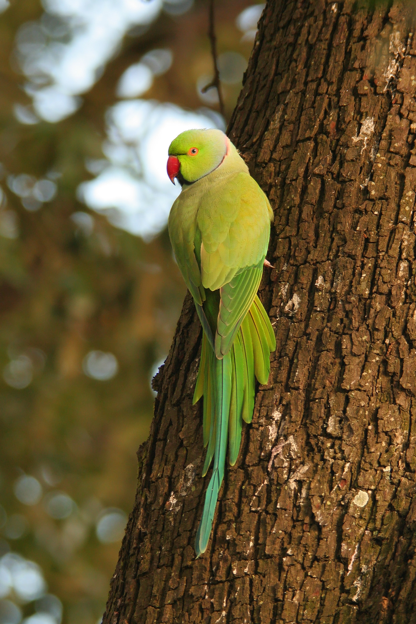 Corona Wildlife Diary: Day Forty-eight | Sussex Wildlife Trust