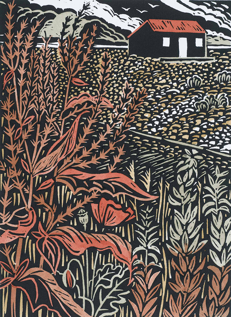 Wildlife artist Annie Soudain | Sussex Wildlife Trust