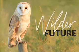 Welcome | Sussex Wildlife Trust