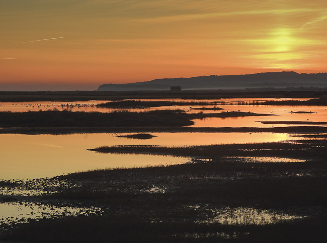 Winter Sun | Sussex Wildlife Trust